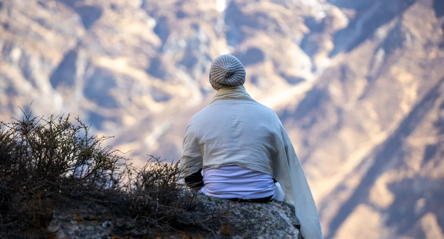 Media - Anand Mehrotra - Himalayan Yoga Master & Spiritual Guide